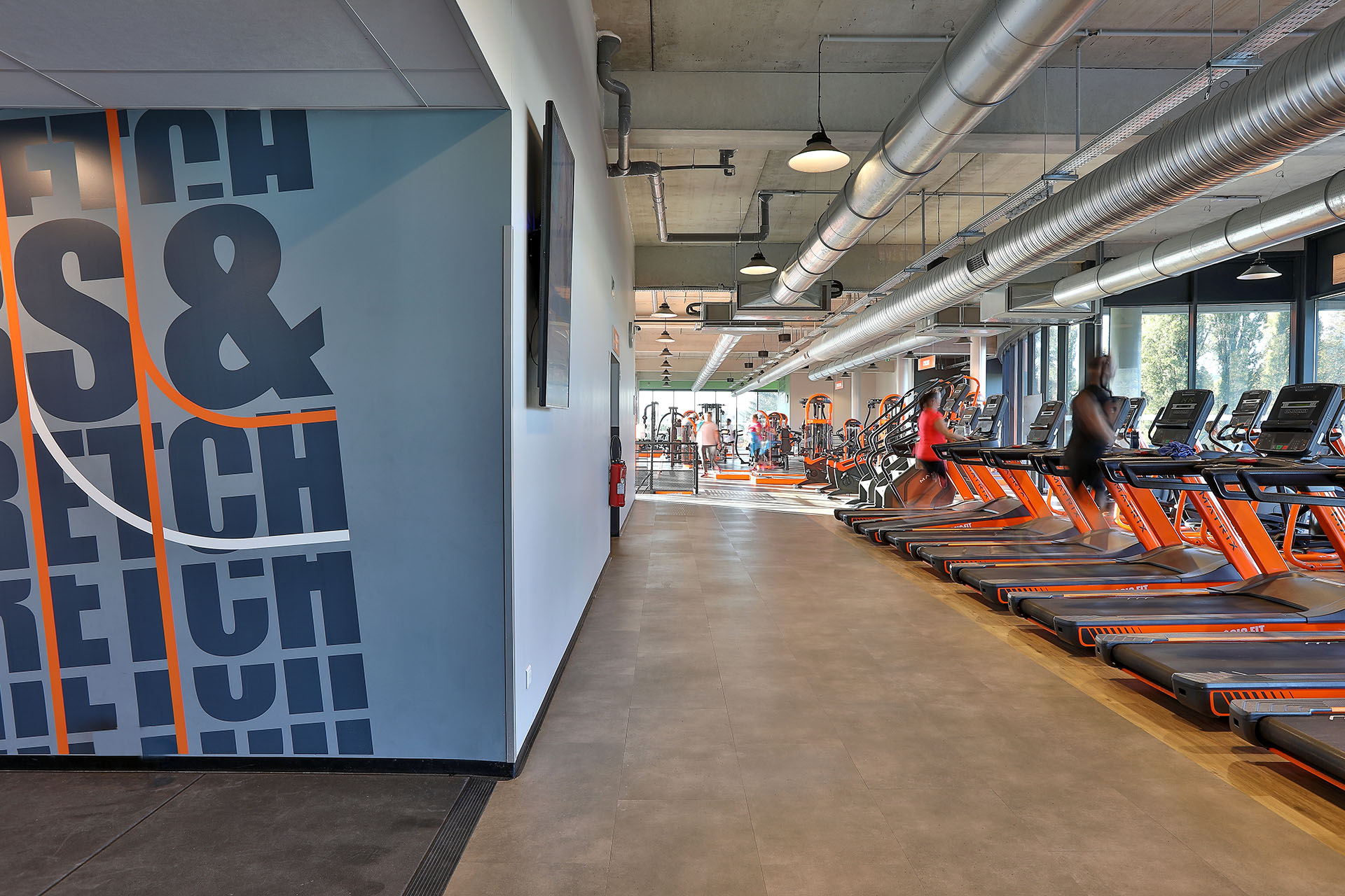 Basic Fit Agema Wat Komt Fleur Agema, Minister Van Volksgezondheid,